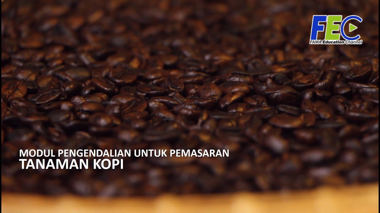 PENGENDALIAN UNTUK PEMASARAN TANAMAN KOPI - FAMA TV